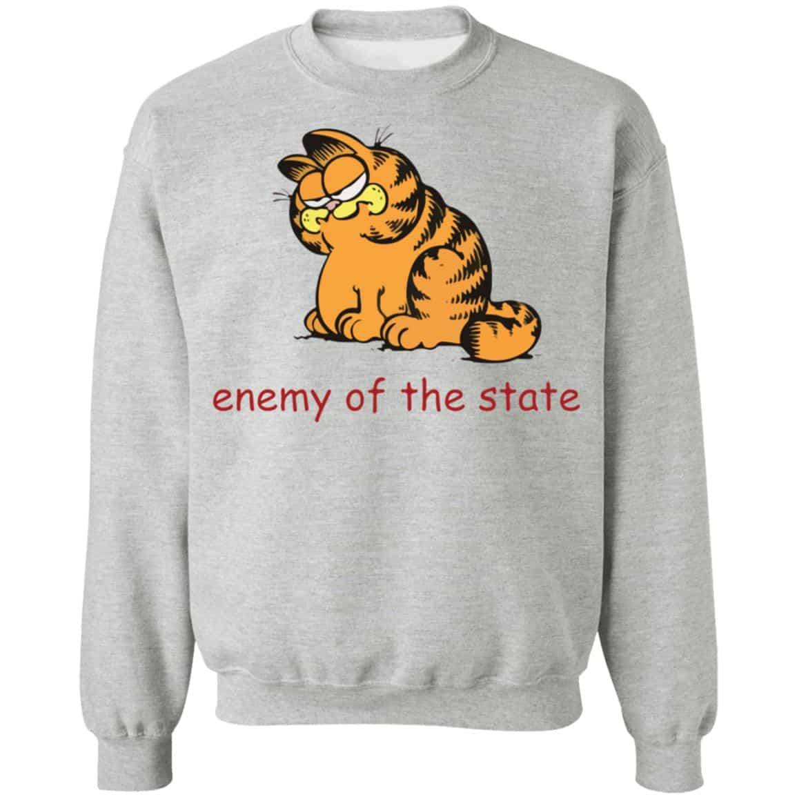 Garfield enemy of the state shirt - Bucktee.com